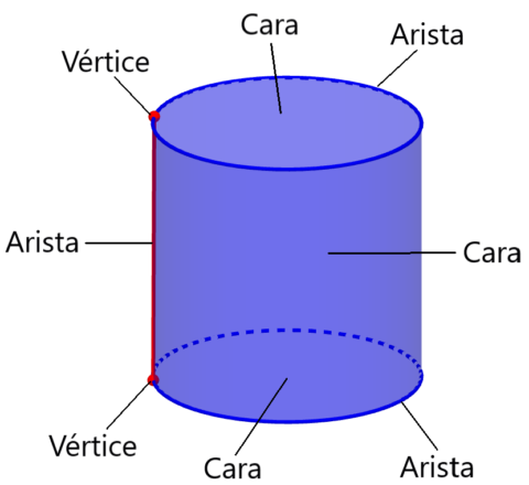 Partes De Un Cilindro Caras Vértices Aristas Y Estructura